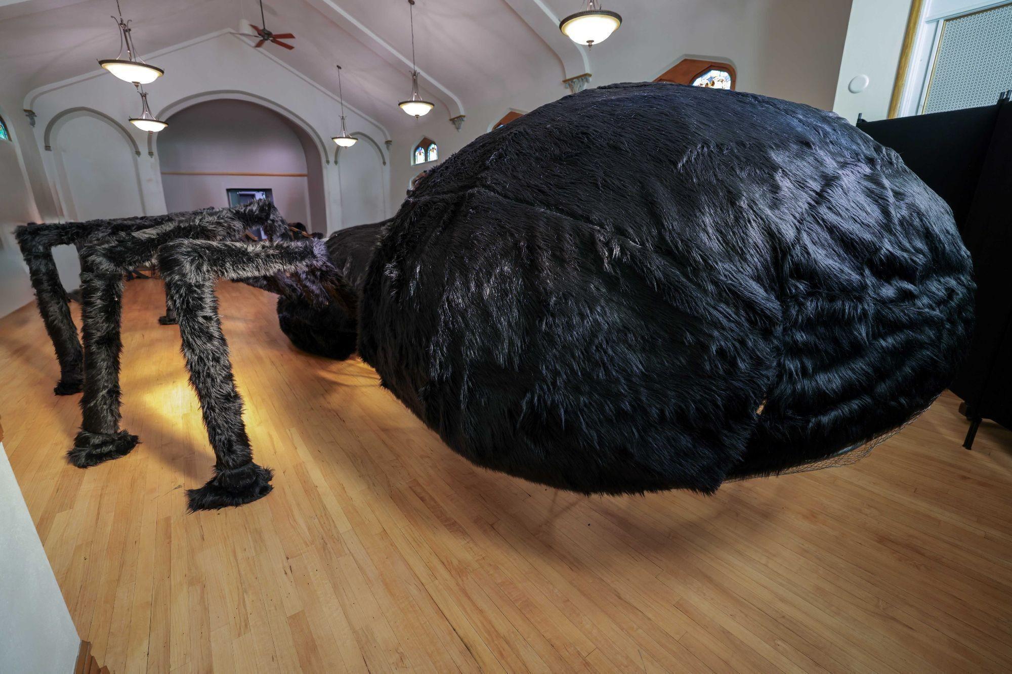'The Giant Spider Invasion': A Cult Classic with Legs to Stand On